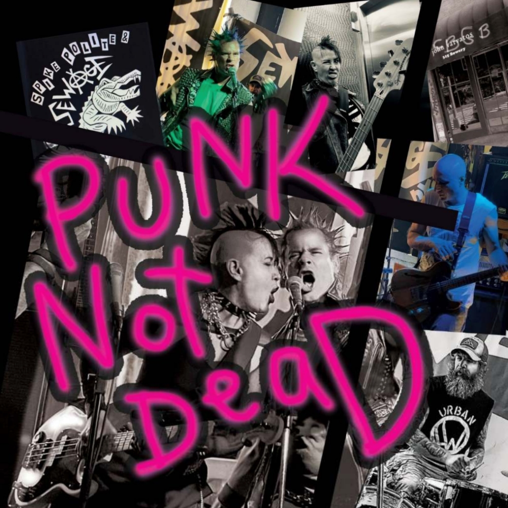 Punk Not Dead 12" Vinyl - Solid Bass Records LLC